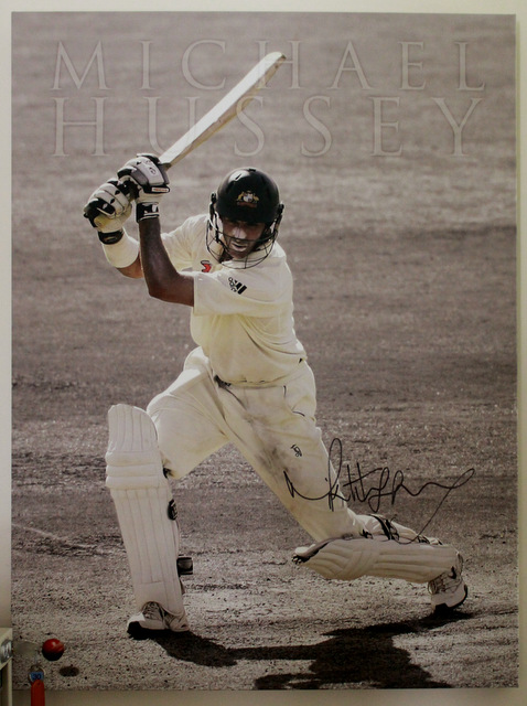 Michael Hussey - Signed Canvas Print | Taylormade Memorabilia | Sports ...