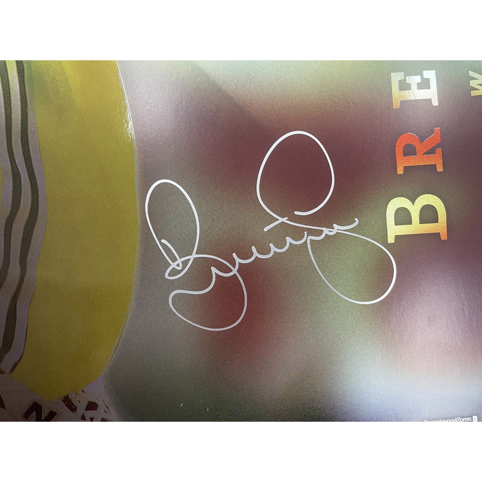 Cricket - Brett Lee "White Hot" Signed & Framed Ballistic Lithograph ...