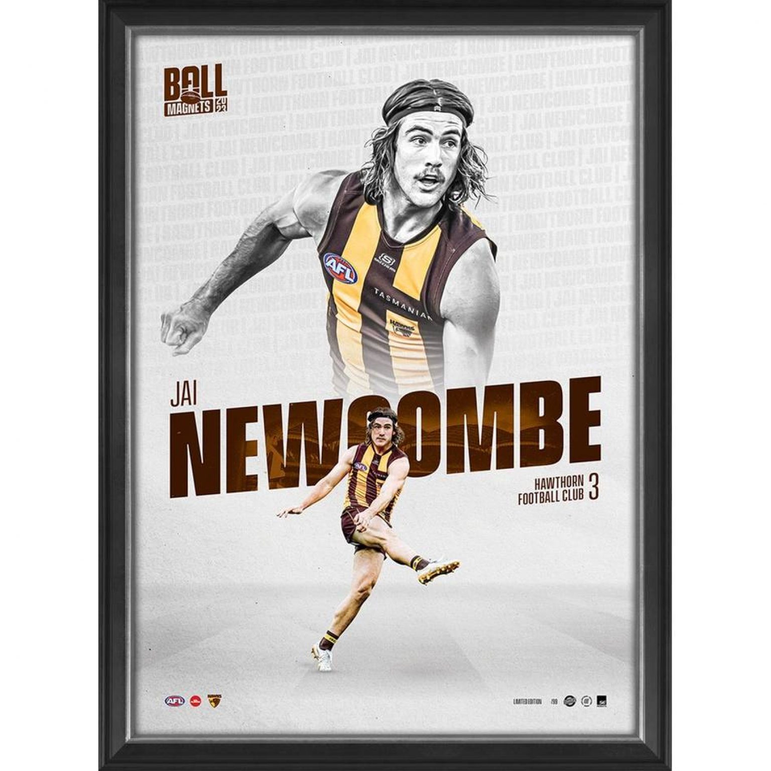 Hawthorn Hawks - JAI NEWCOMBE AFL COLLECTORS EDITION SERIES THREE ...