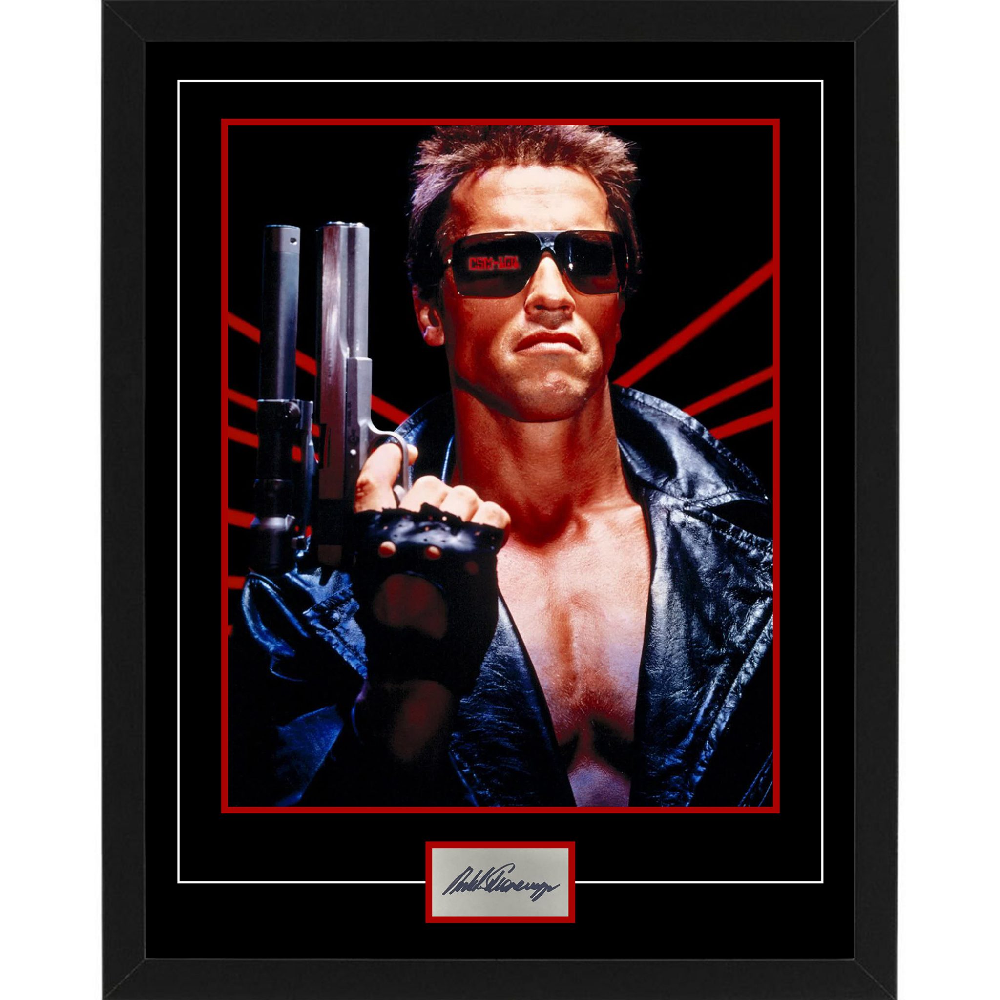 Arnold Schwarzenegger Signed & Framed Book Cut "The Terminator ...