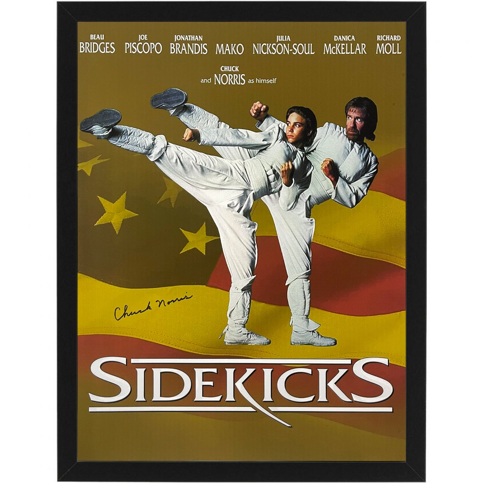 Chuck Norris - "Sidekicks" Signed & Framed Canvas Movie Poster ...