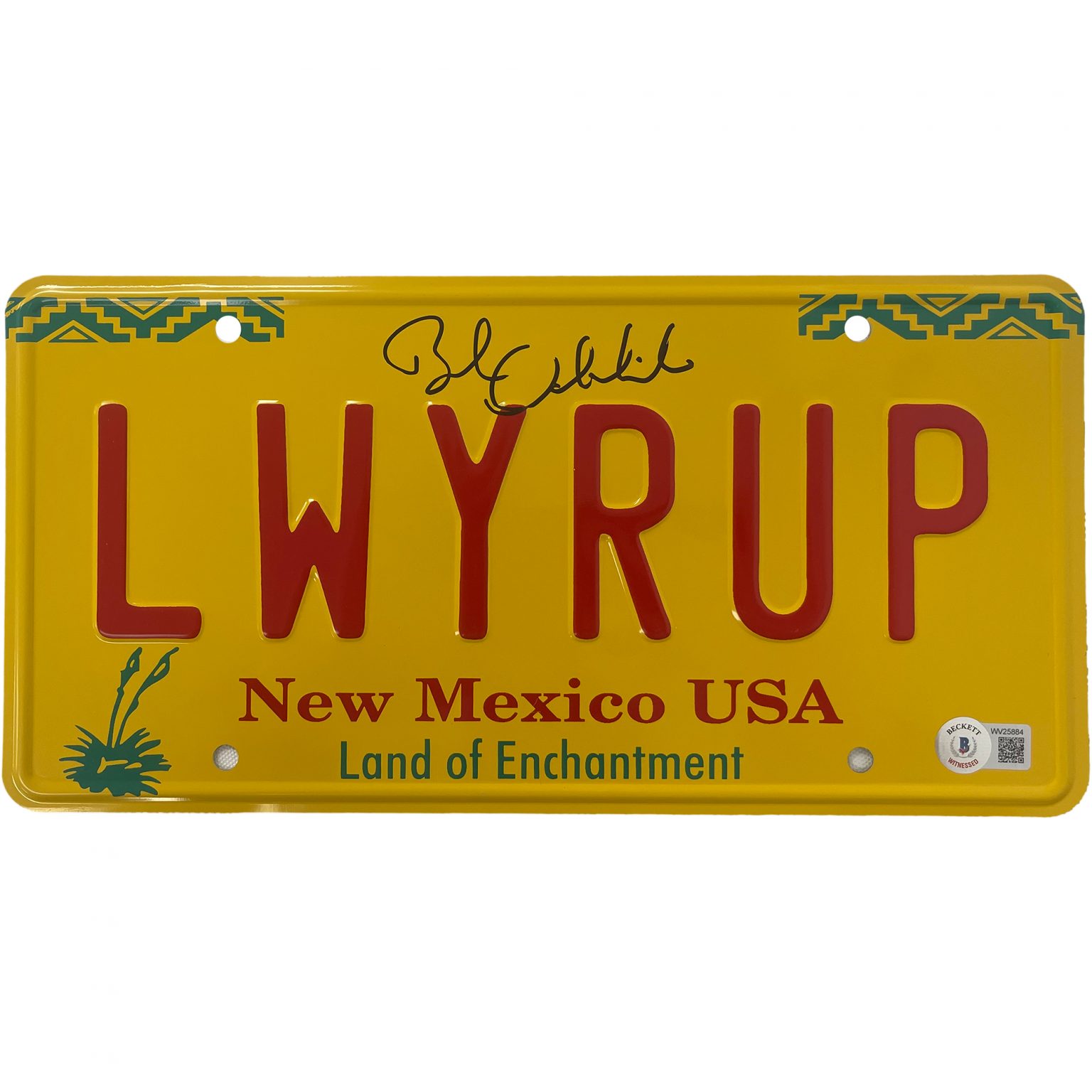 Bob Odenkirk - "Breaking Bad/Better Call Saul" Signed & Framed "LWYRUP ...