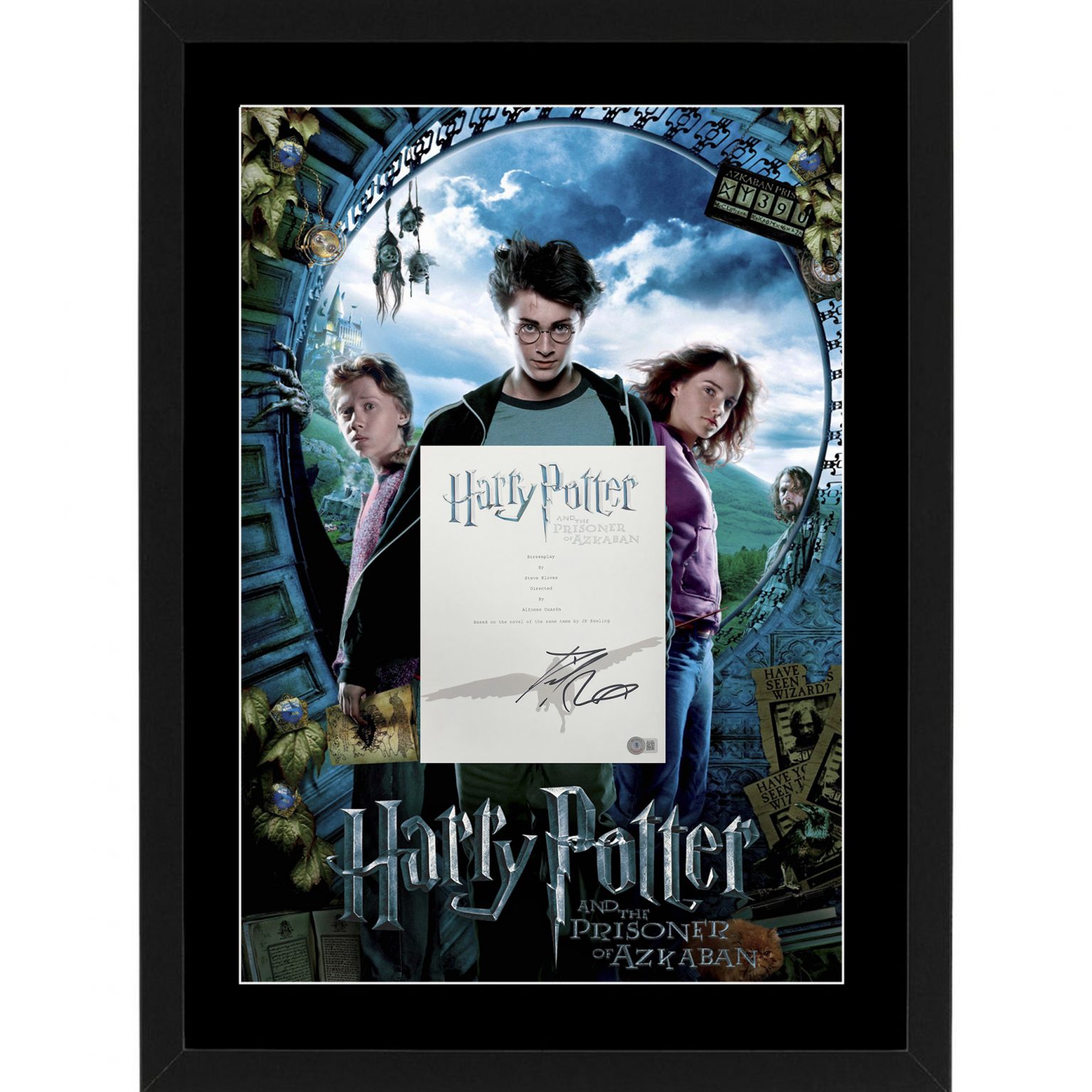 Daniel Radcliffe - Signed & Framed "Harry Potter" Movie Script (Beckett ...