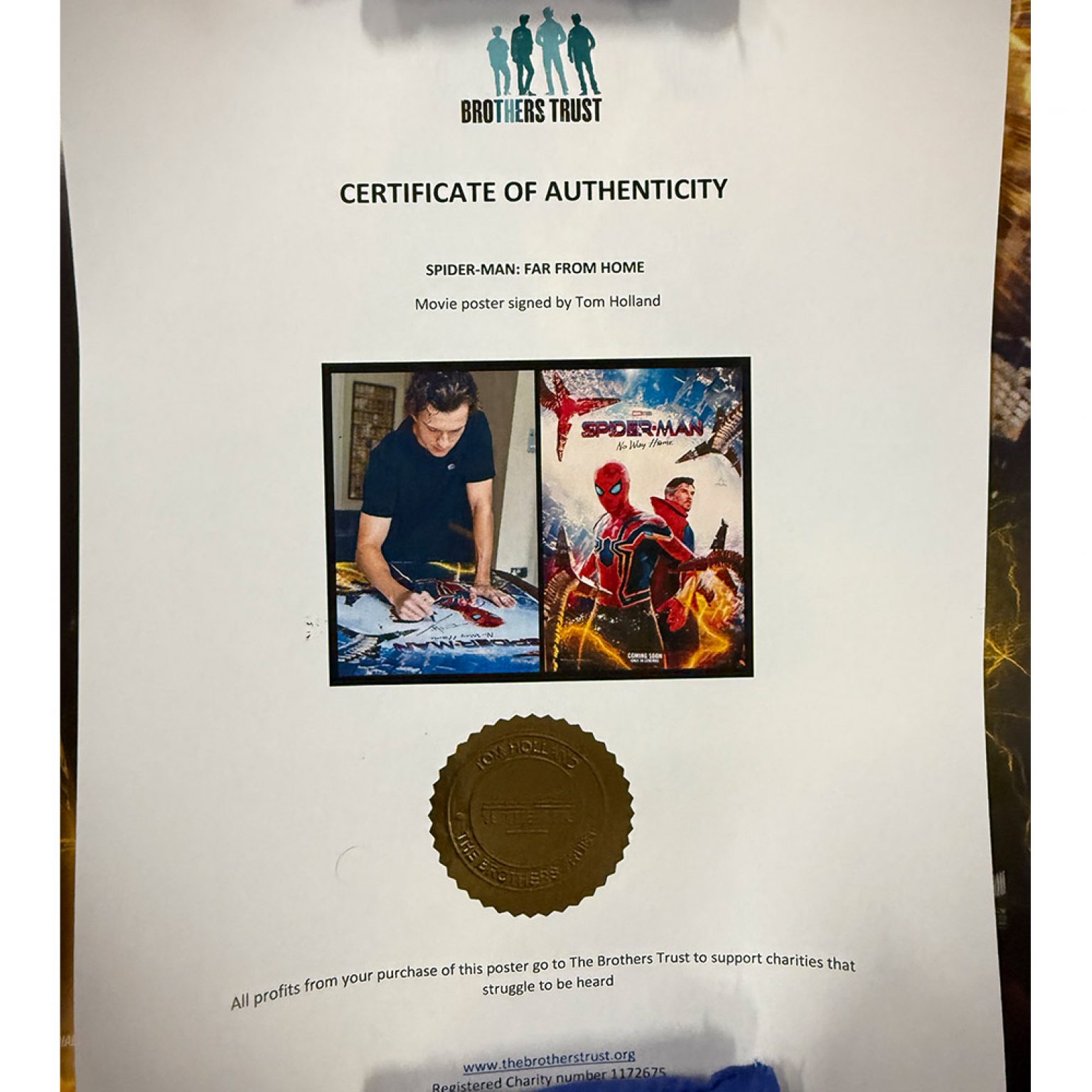 Tom Holland Signed & Framed Spider-Man: No Way Home Full Size Movie ...