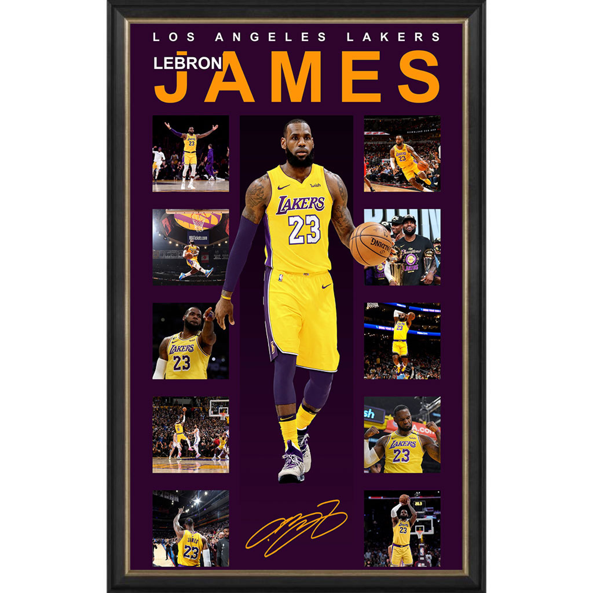 Basketball - Lebron James Los Angeles Lakers Vertiramic Print ...
